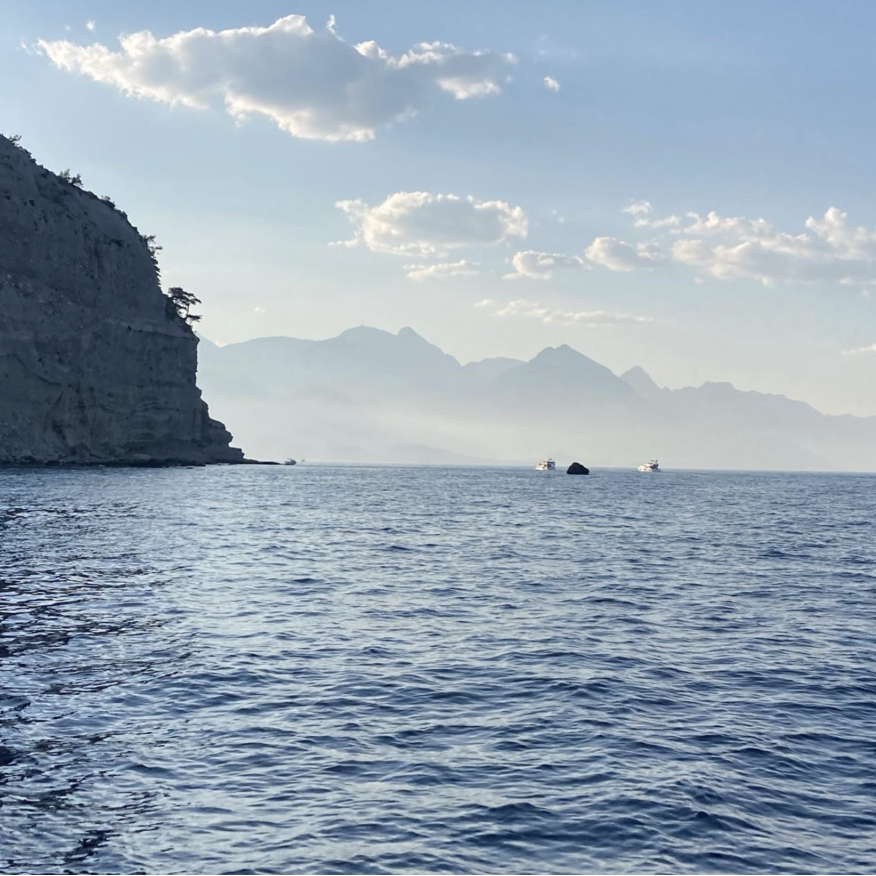 Profi-Time Демо на profi-time